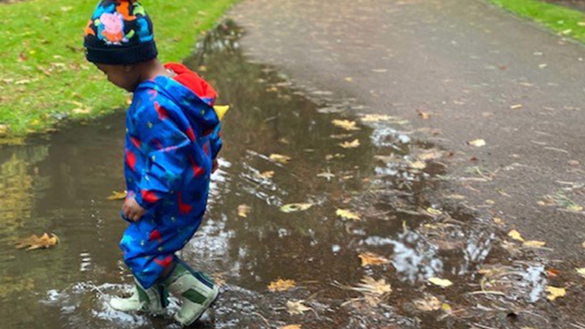 'What's the story', Wolves Foundation? | Foundation | News ...