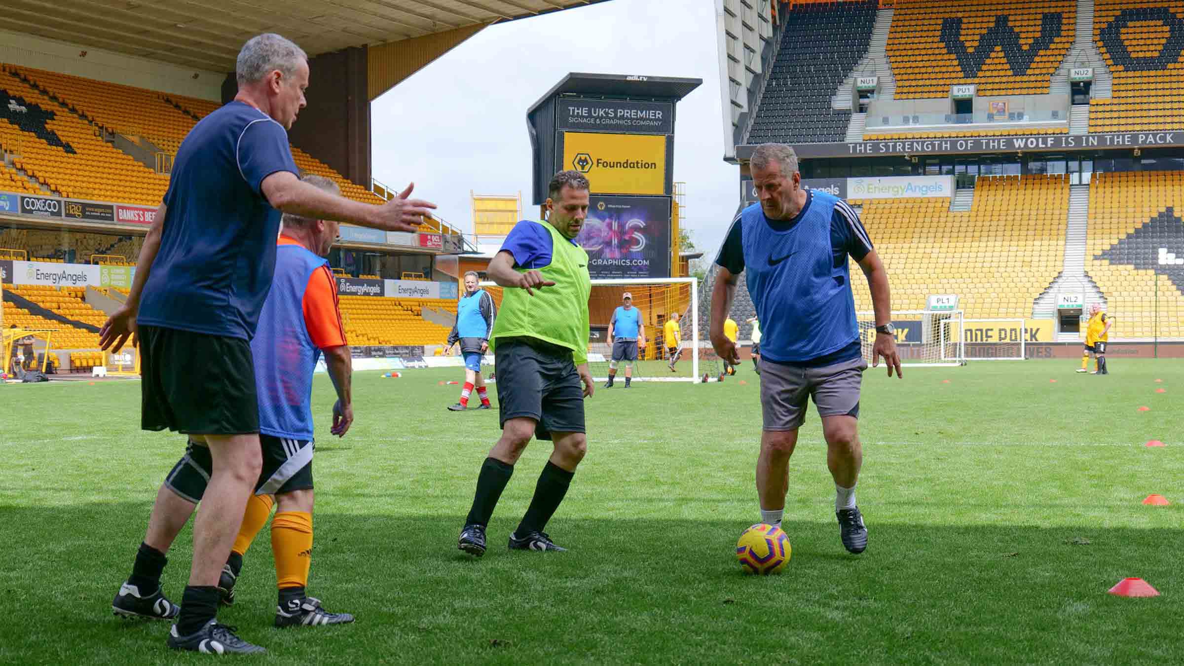 What's on this week at Wolves Foundation | Foundation | News ...