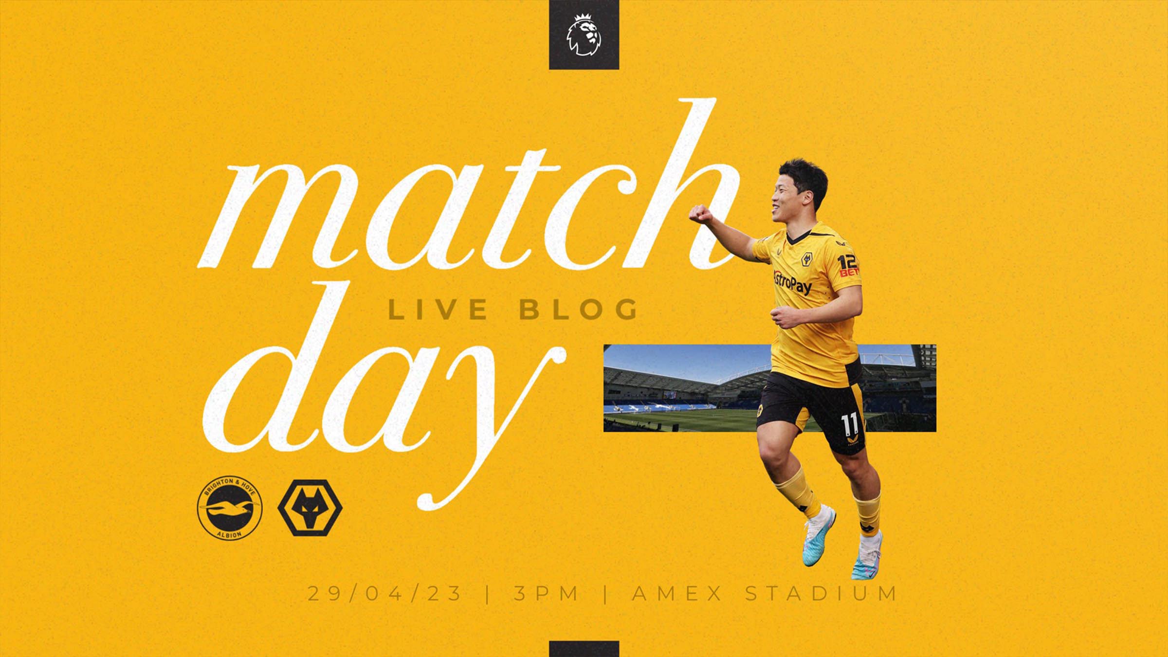 Matchday Blog | Brighton vs Wolves | Men's First-Team | News ...