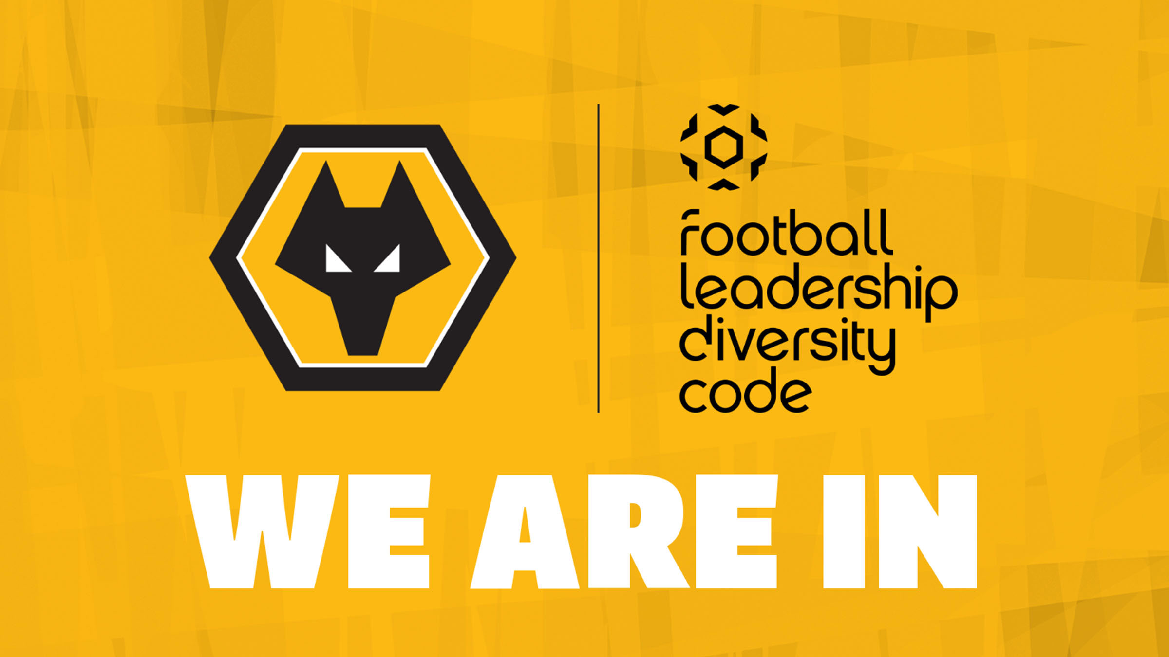 Wolves provide football leadership diversity code update | Equality ...