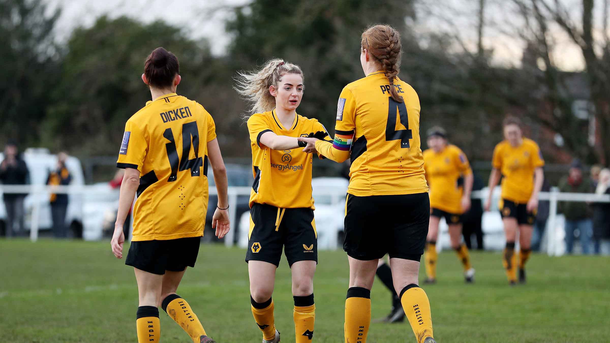 Wolves discover semi-final opponents | Women's First-Team | News ...