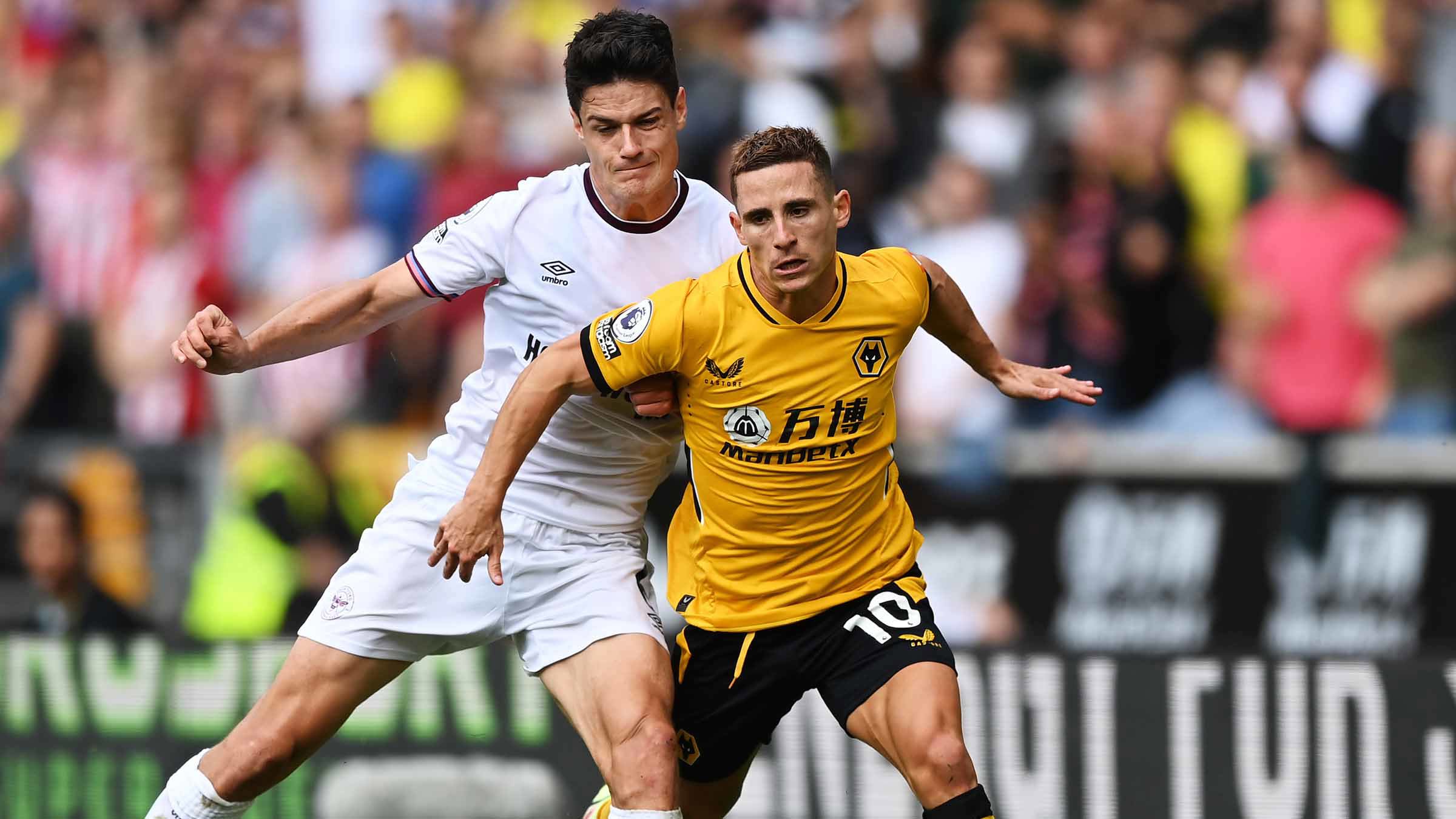 Podence | Wolves won't be 'surprised again' by Brentford | Men's First ...