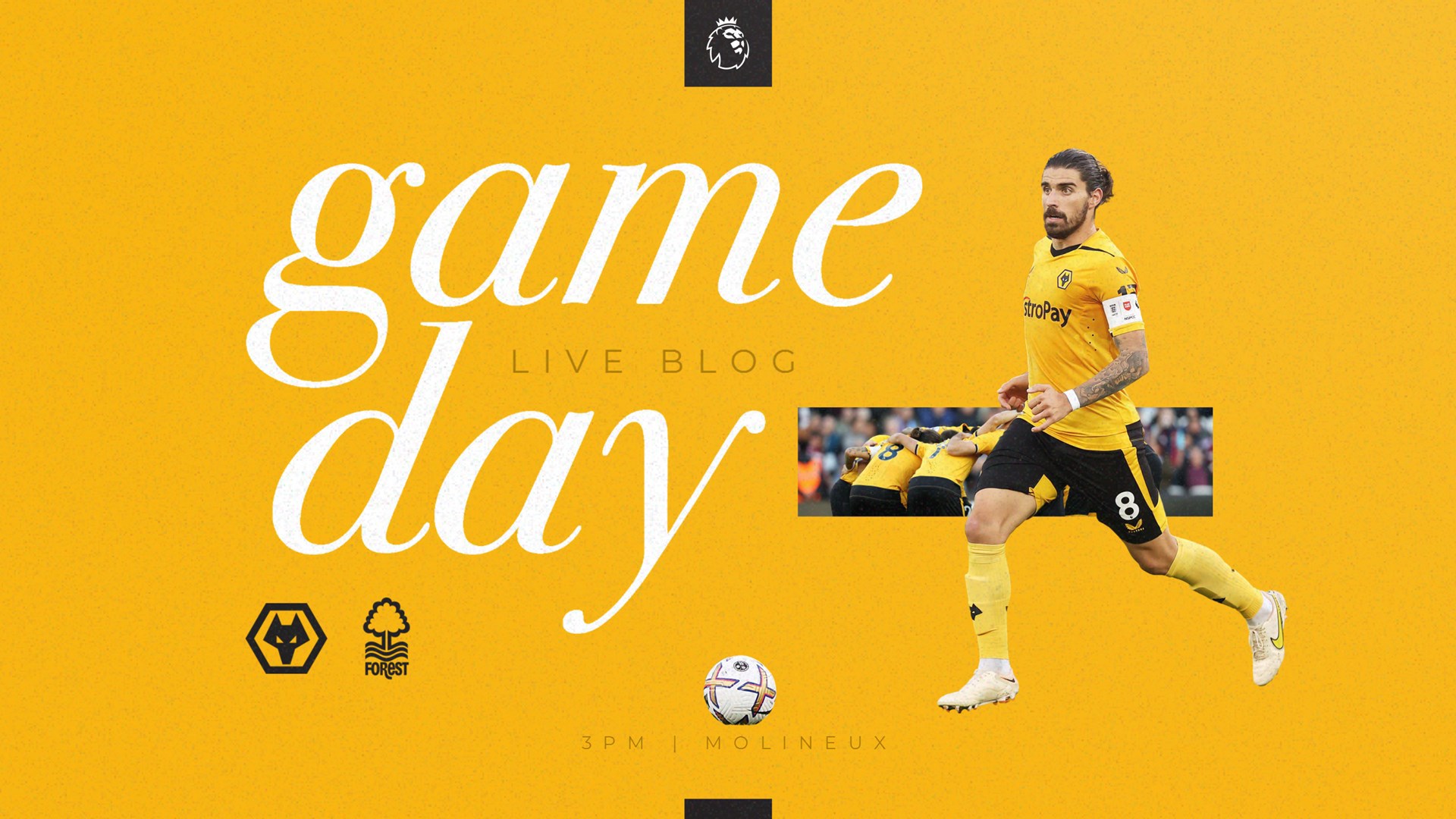 Matchday Blog | Wolves vs Forest | Men's First-Team | News ...