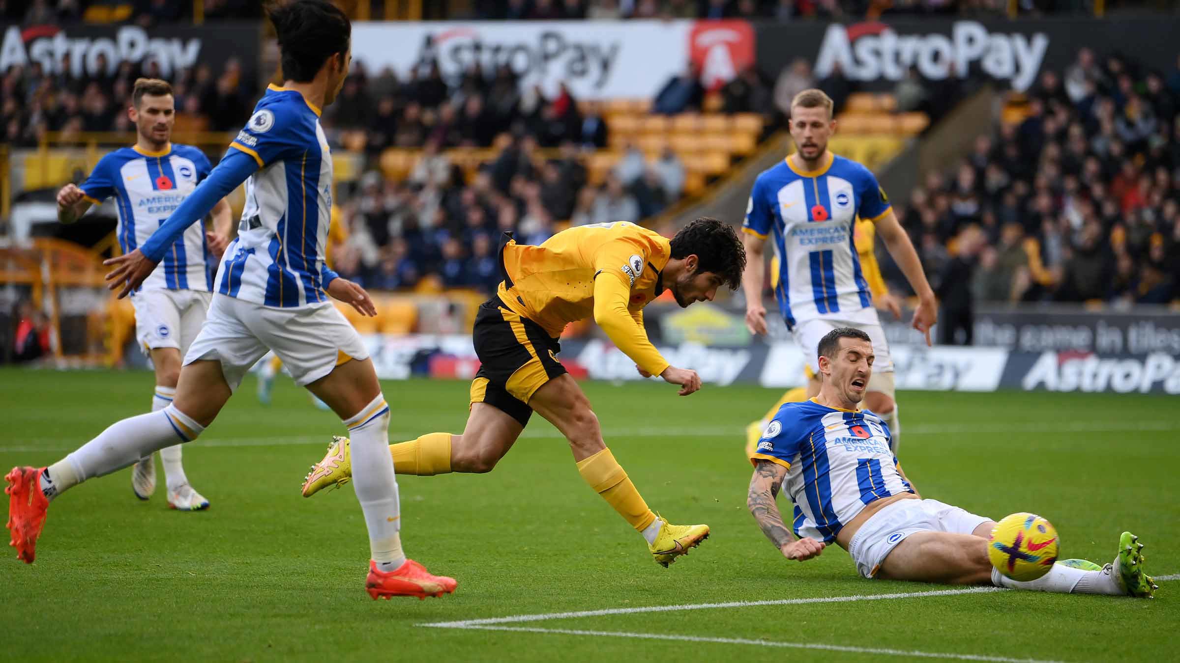 Gallery | Wolves 2-3 Brighton | Men's First-Team | News | Wolverhampton ...