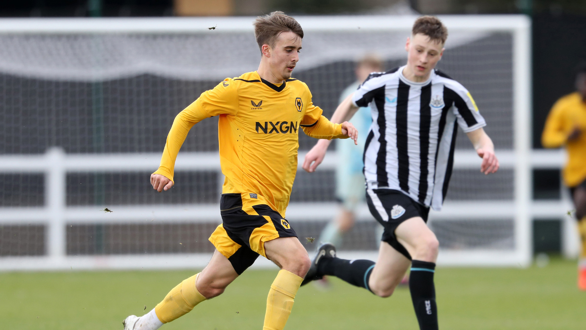 U18 report | Wolves 1-6 Newcastle | Academy | News | Wolverhampton ...