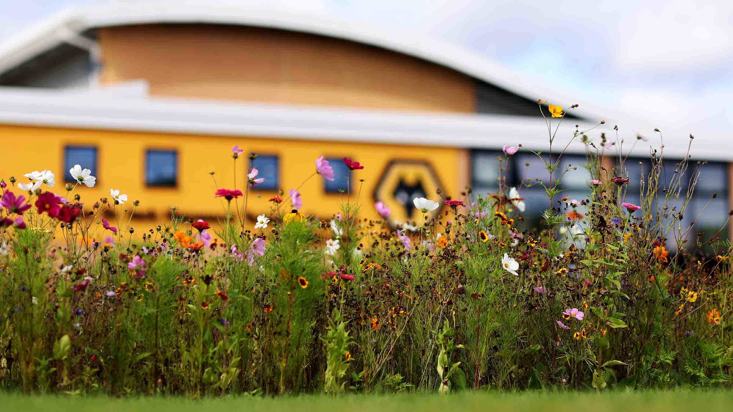 Sustainability report published ahead of One Pack, One Planet fixture ...