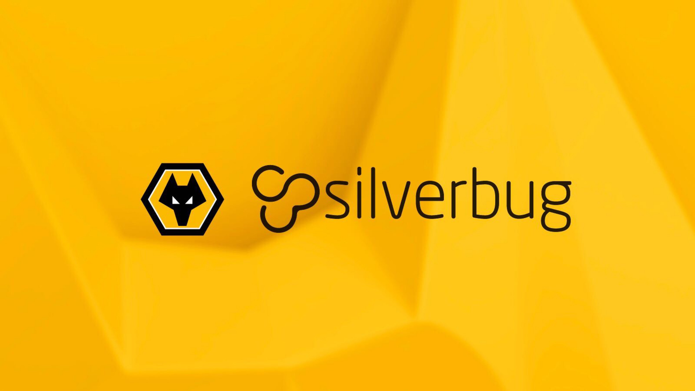 Silverbug Unveiled As Junior Shirt Sponsor | Club | News ...
