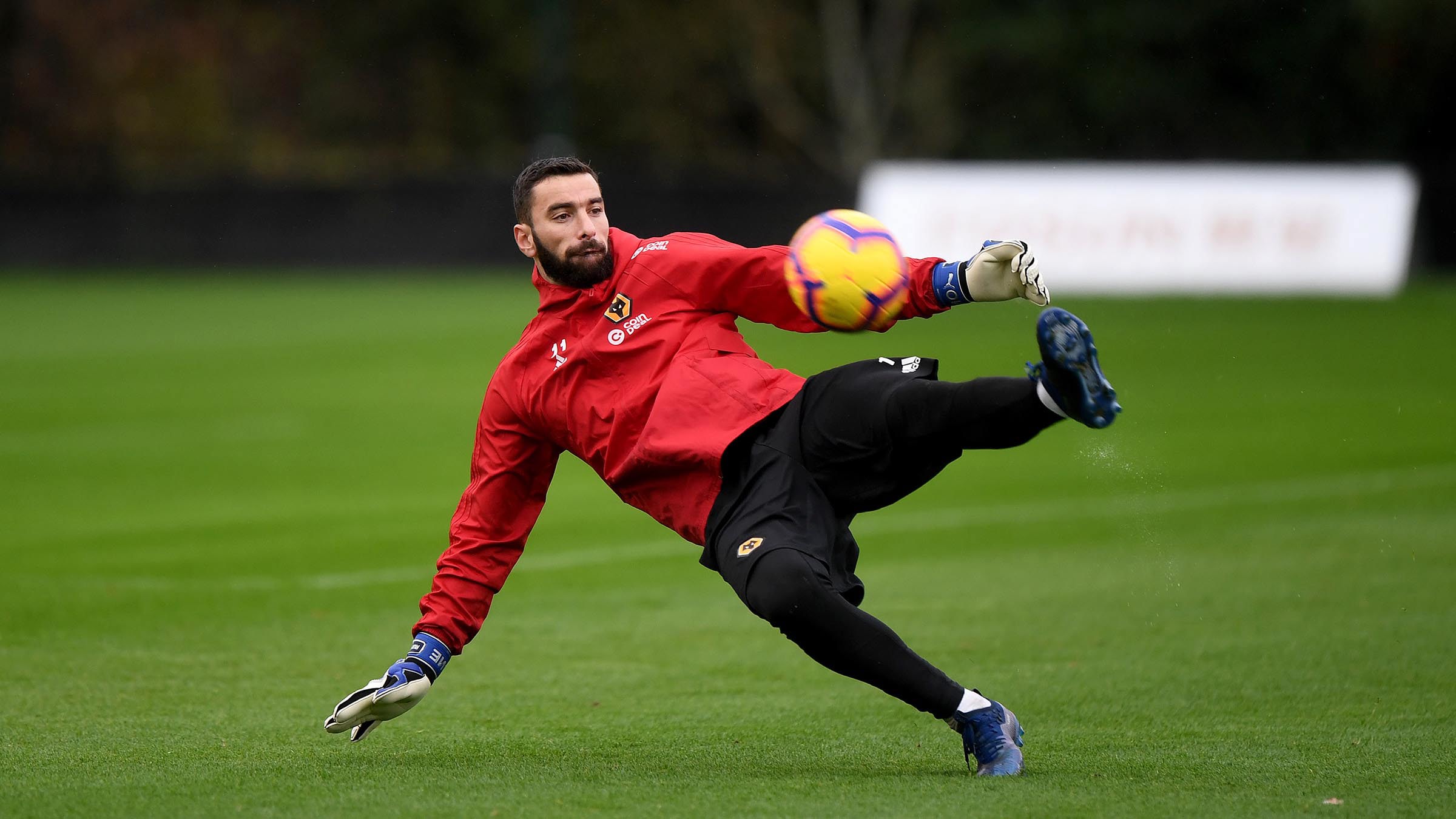 Cardiff vs Wolves | Training gallery | Men's First-Team | News ...