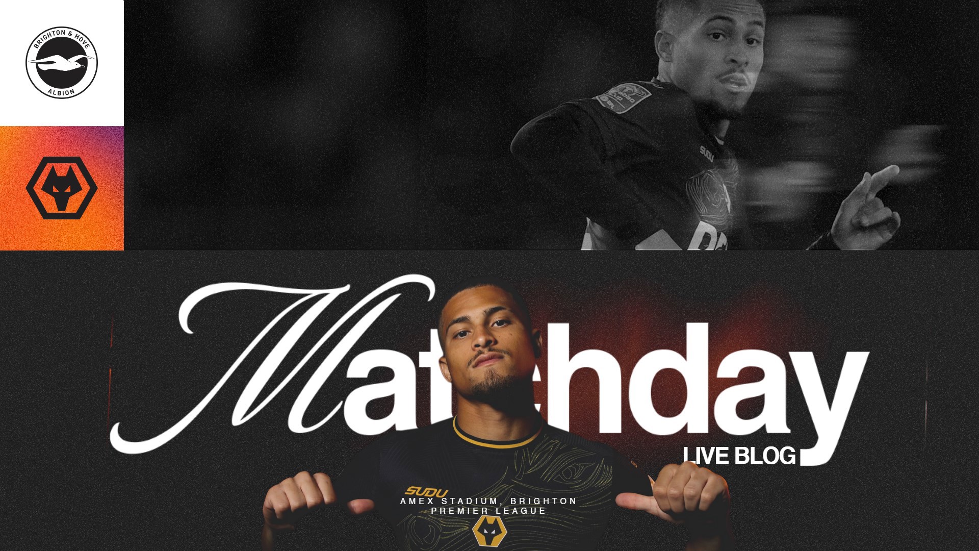 Matchday Blog | Brighton vs Wolves | Men's First-Team | News ...