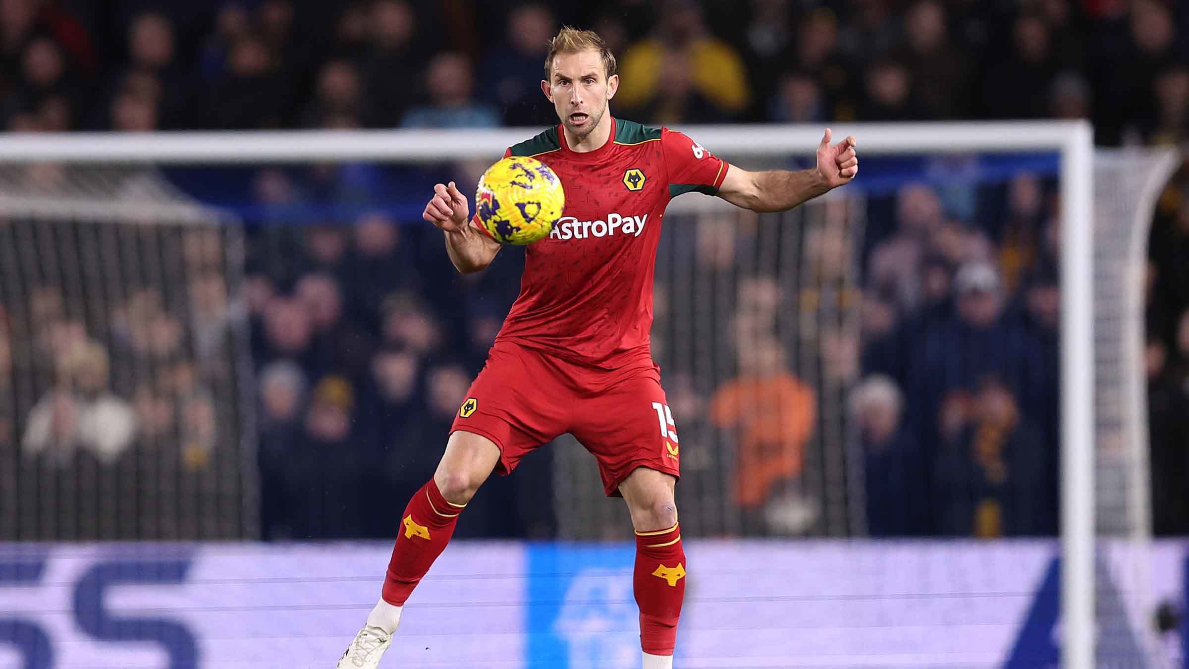 Wolves Express | Sharing the spoils on the south coast | Club | News ...