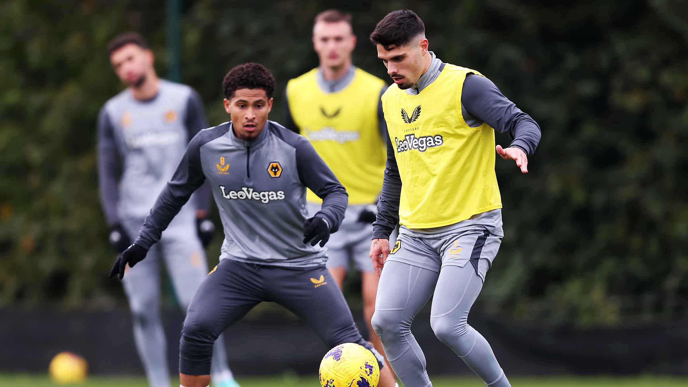 Wolves Express | Facing Newcastle under the Molineux lights | Club ...