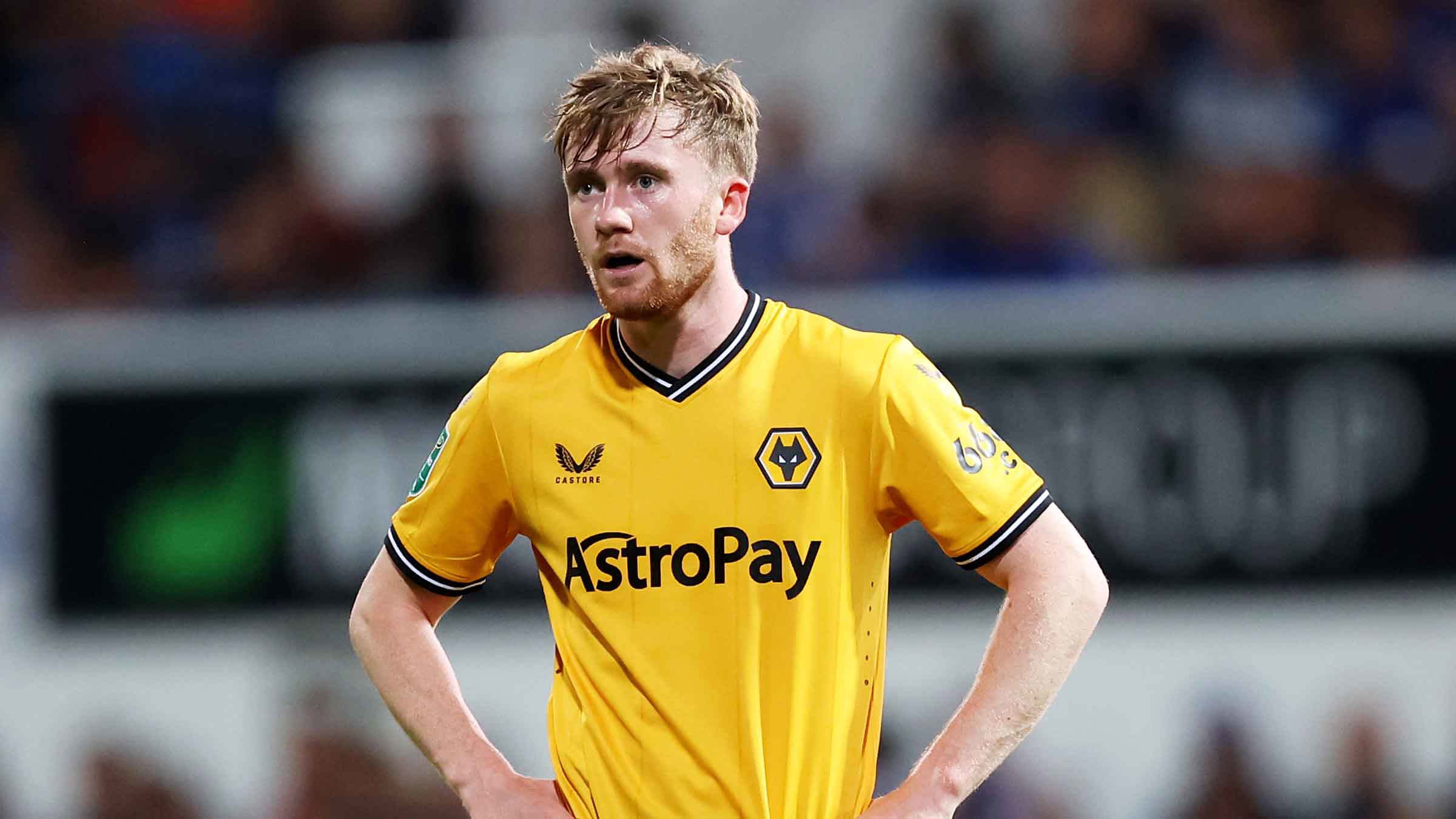 Wolves Express | Doyle fighting for minutes and Mills' Foundation work ...