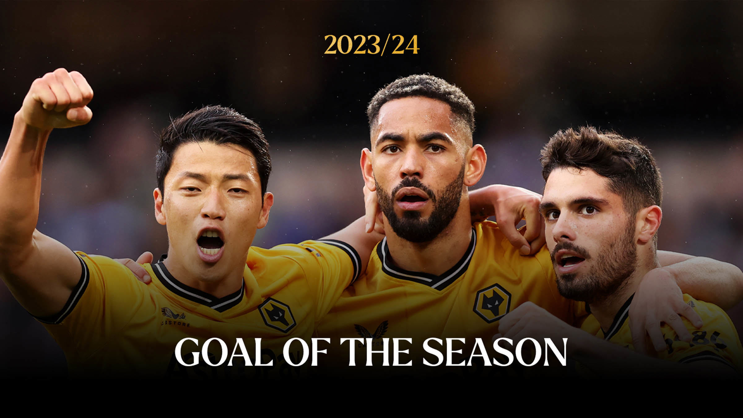 Vote for your Goals of the Season | Club | News | Wolverhampton ...