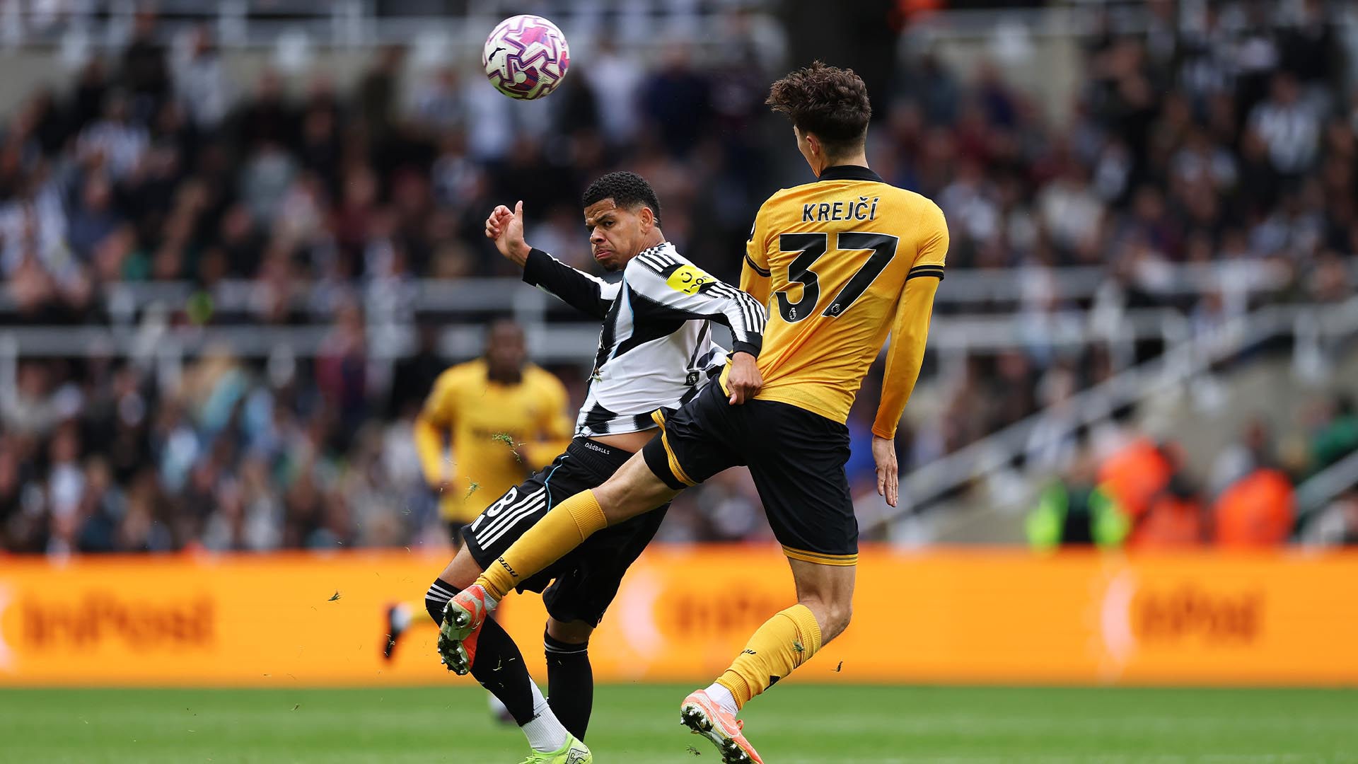 Preview | Wolves vs Newcastle | Features | News | Wolverhampton ...