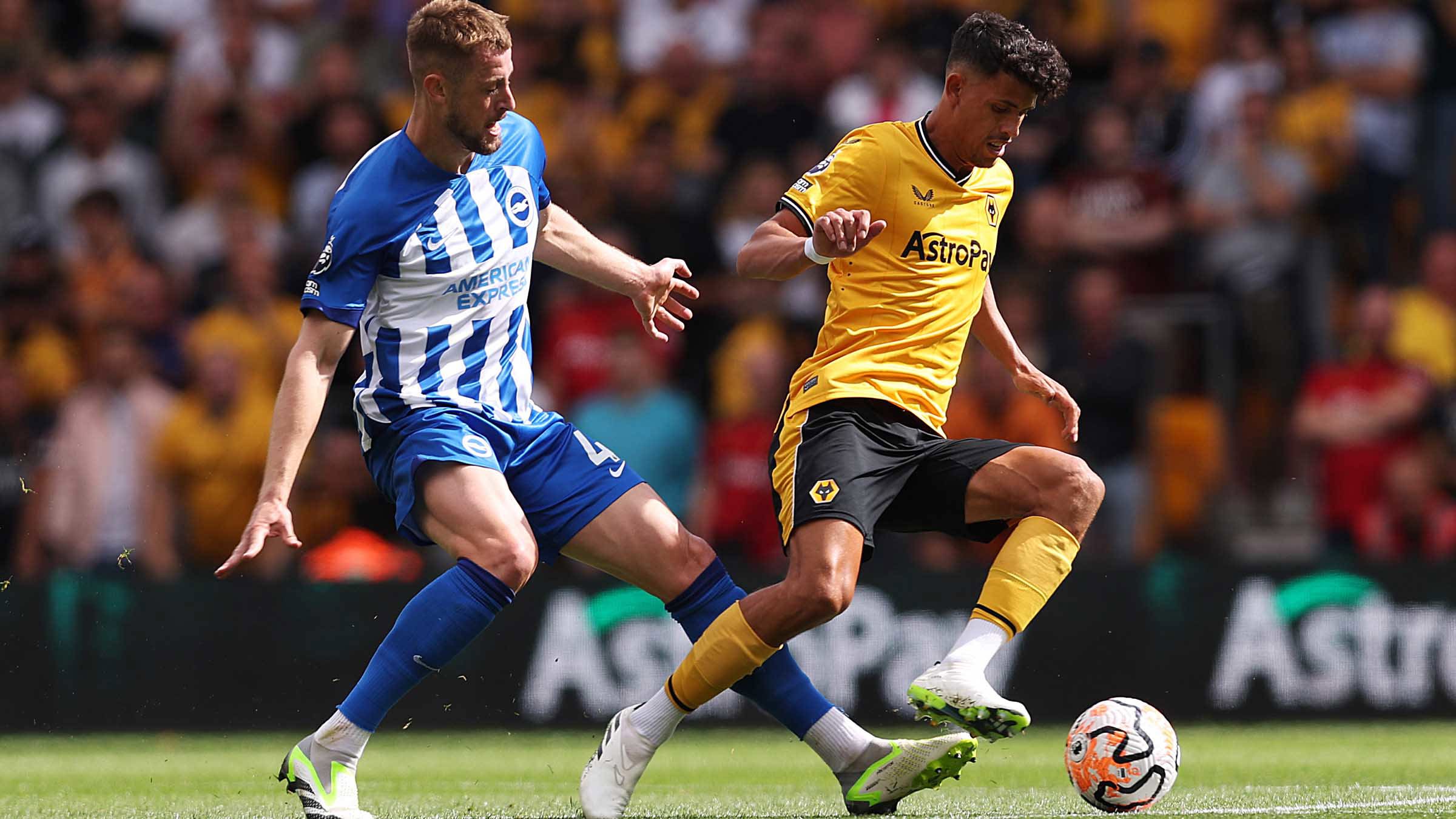 Gallery | Wolves vs Brighton | Men's First-Team | News | Wolverhampton ...
